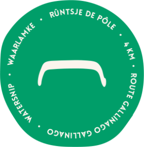 Gallinago Gallinago - Puur de Greidhoeke